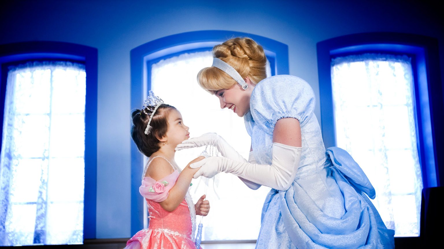 Walt Disney World Florida Specialty License Plate - Disney in Florida