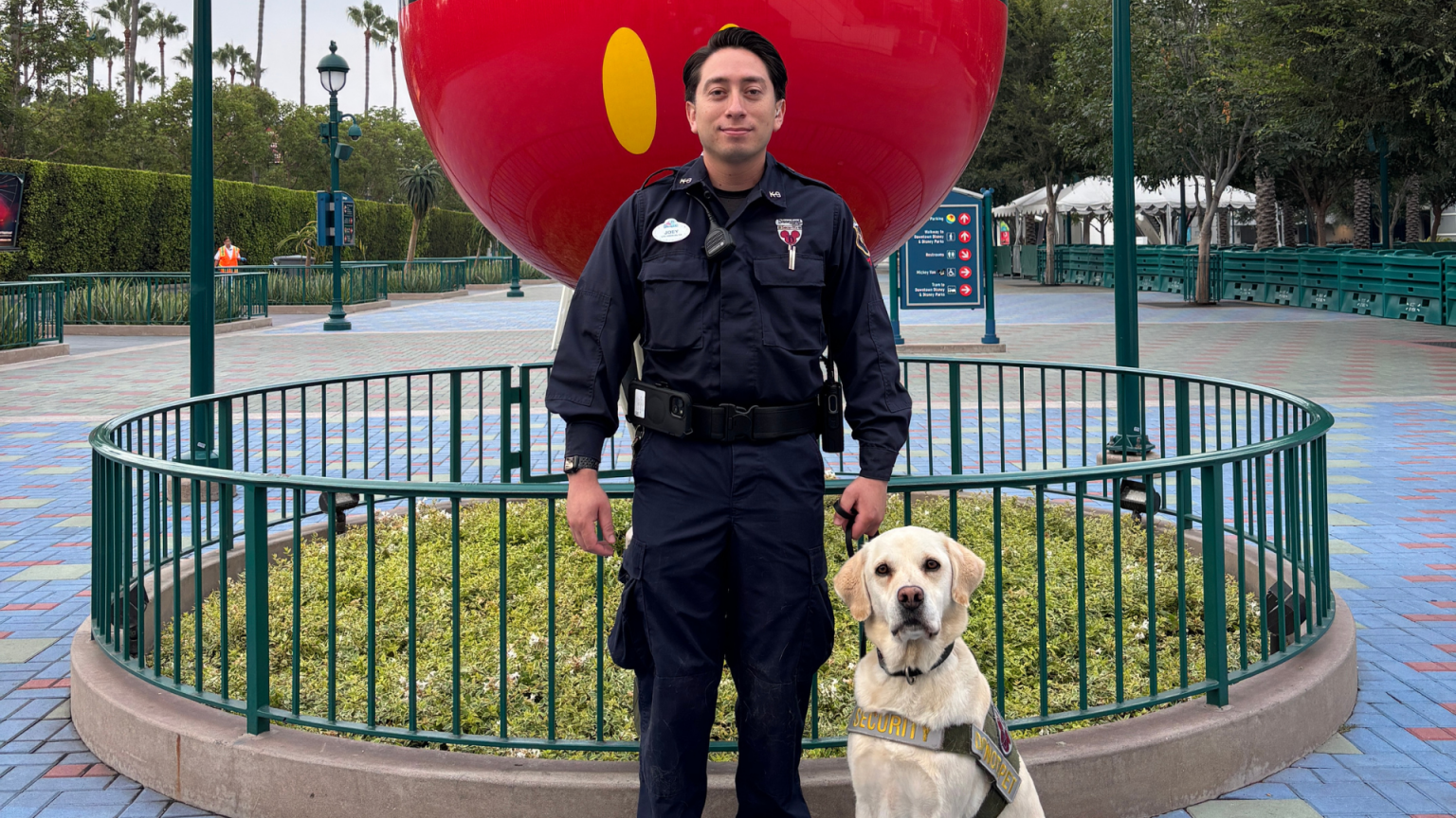 Pay - Disneyland Public Affairs